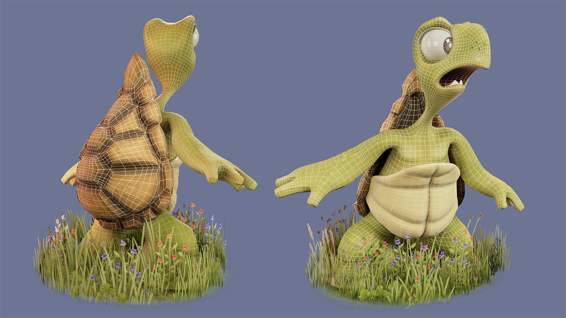 Tomas Sosto - Turtle by Maria Florencia Nespola