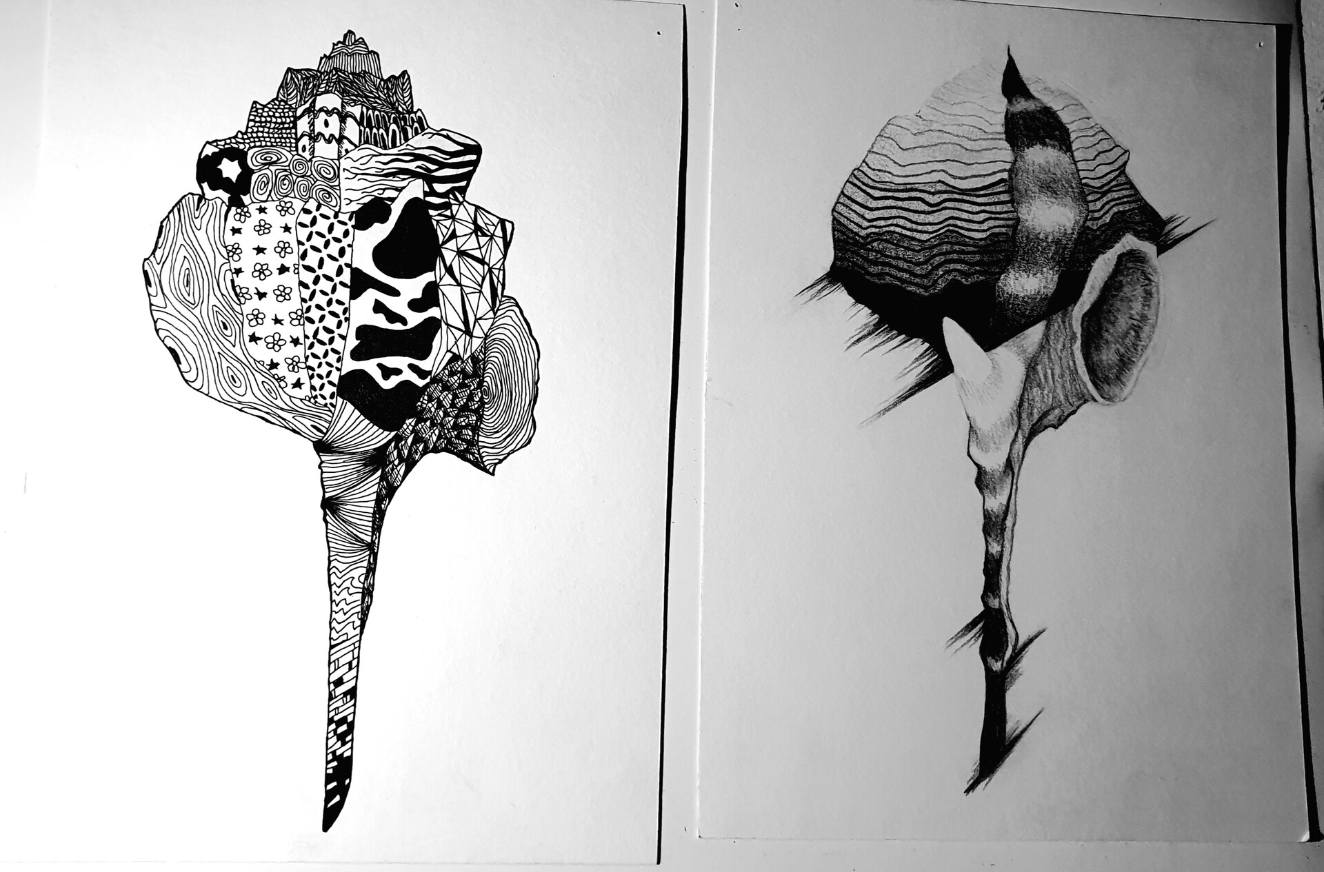 ArtStation - Shellfish study