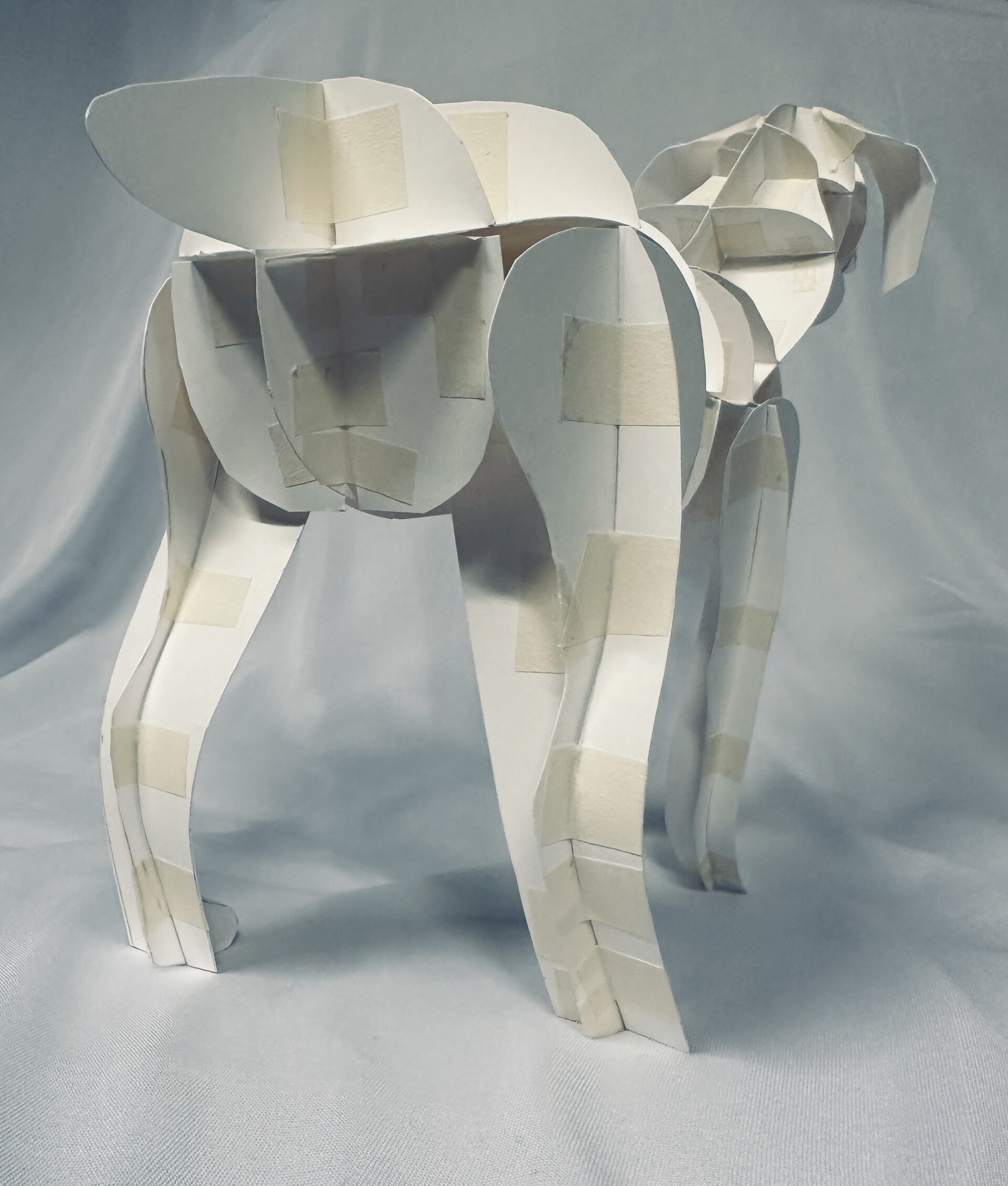 Danielle Dukofsky - Planar Animal Sculpture