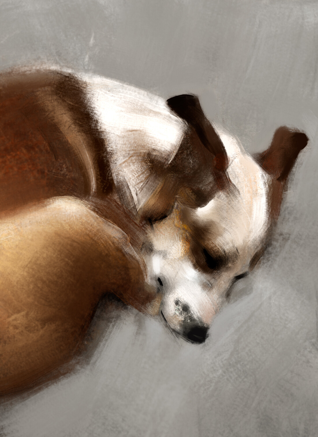 ArtStation - Dog sketch