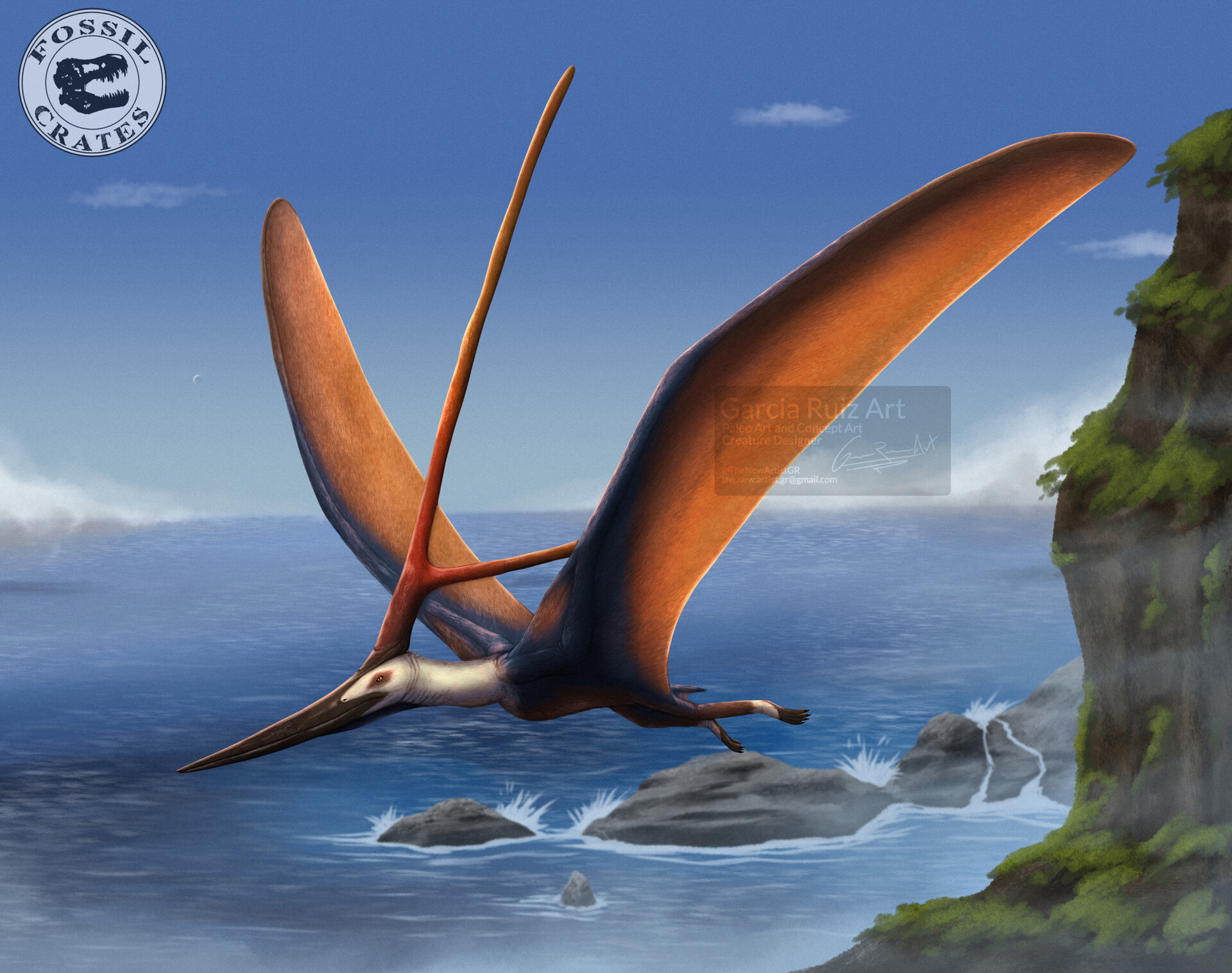 Nyctosaurus Nyctosaurus ("Living Sailboard"; Versatile Travel Mount