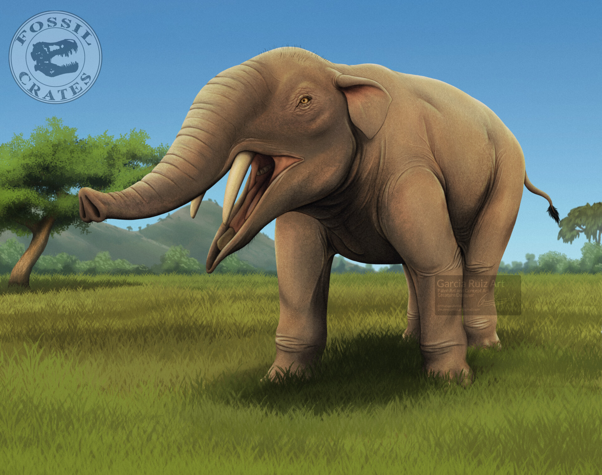 gomphothere elephant