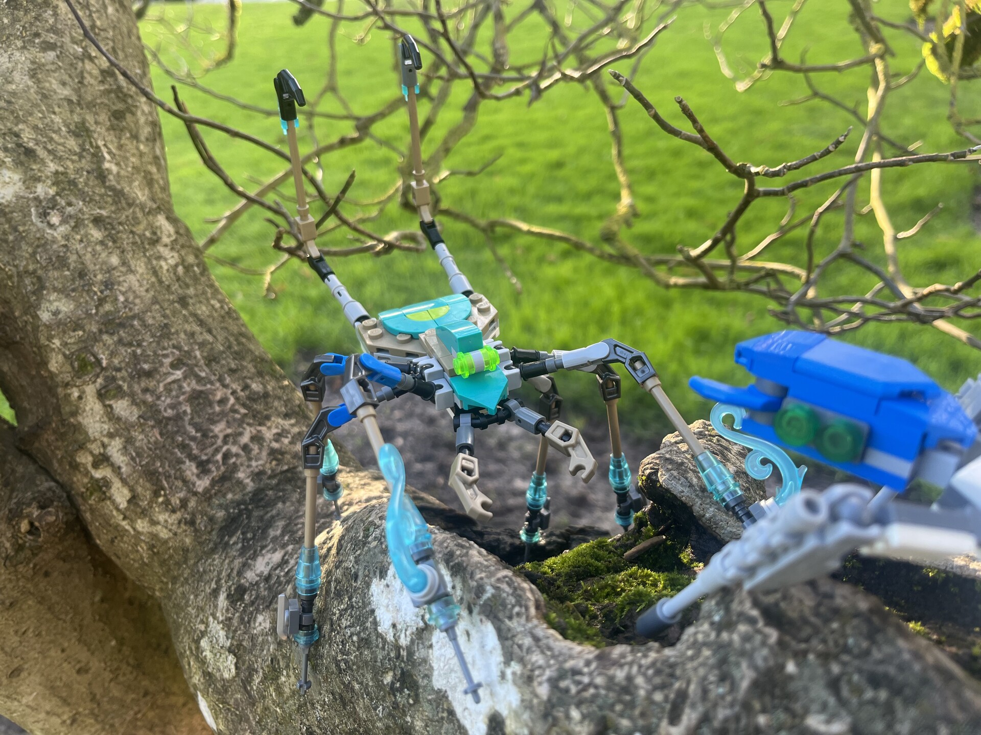 ArtStation - Terramagna (Kahu-jaga) rahi