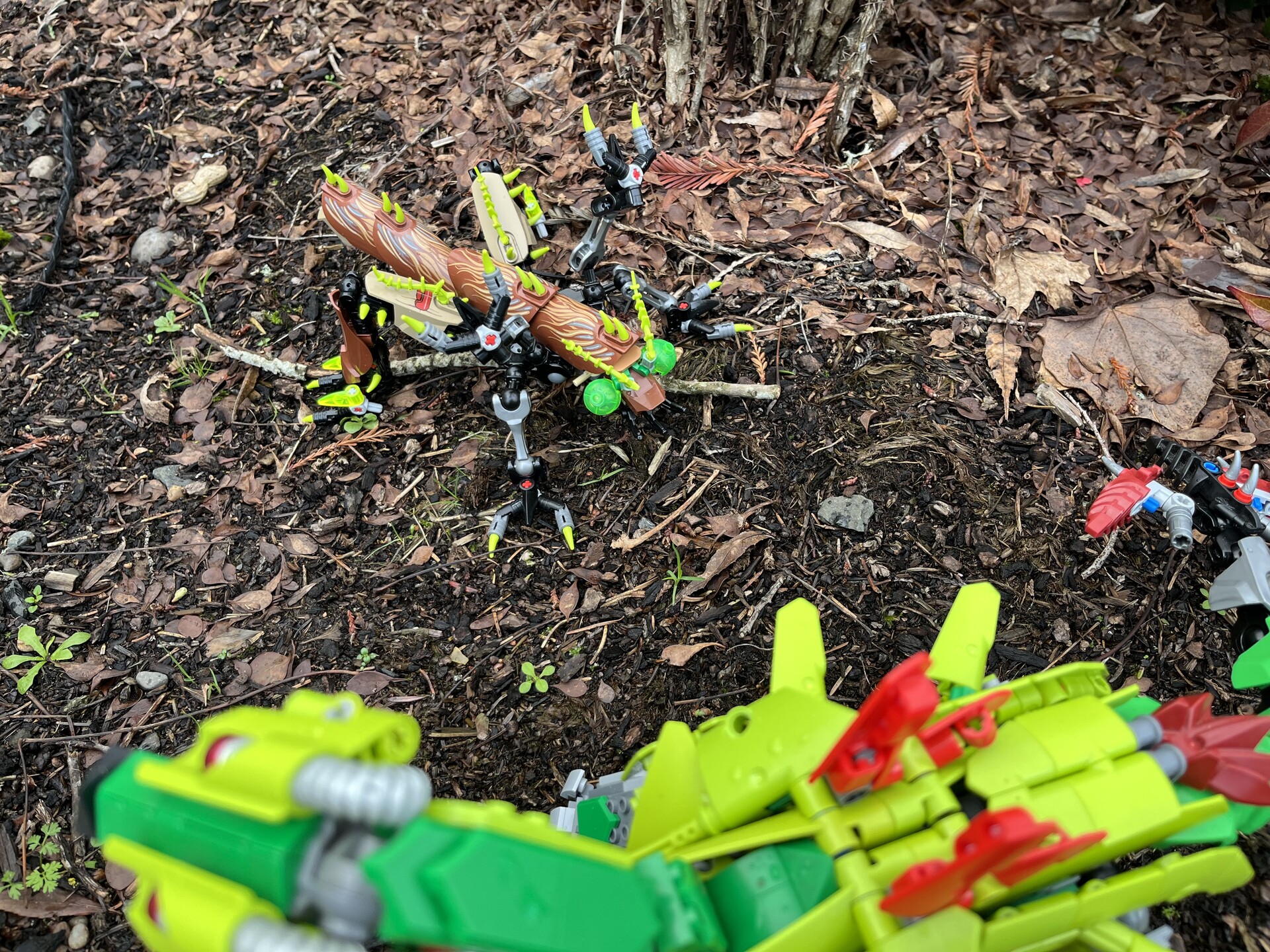 ArtStation - Terramagna (Kamola hopper) rahi