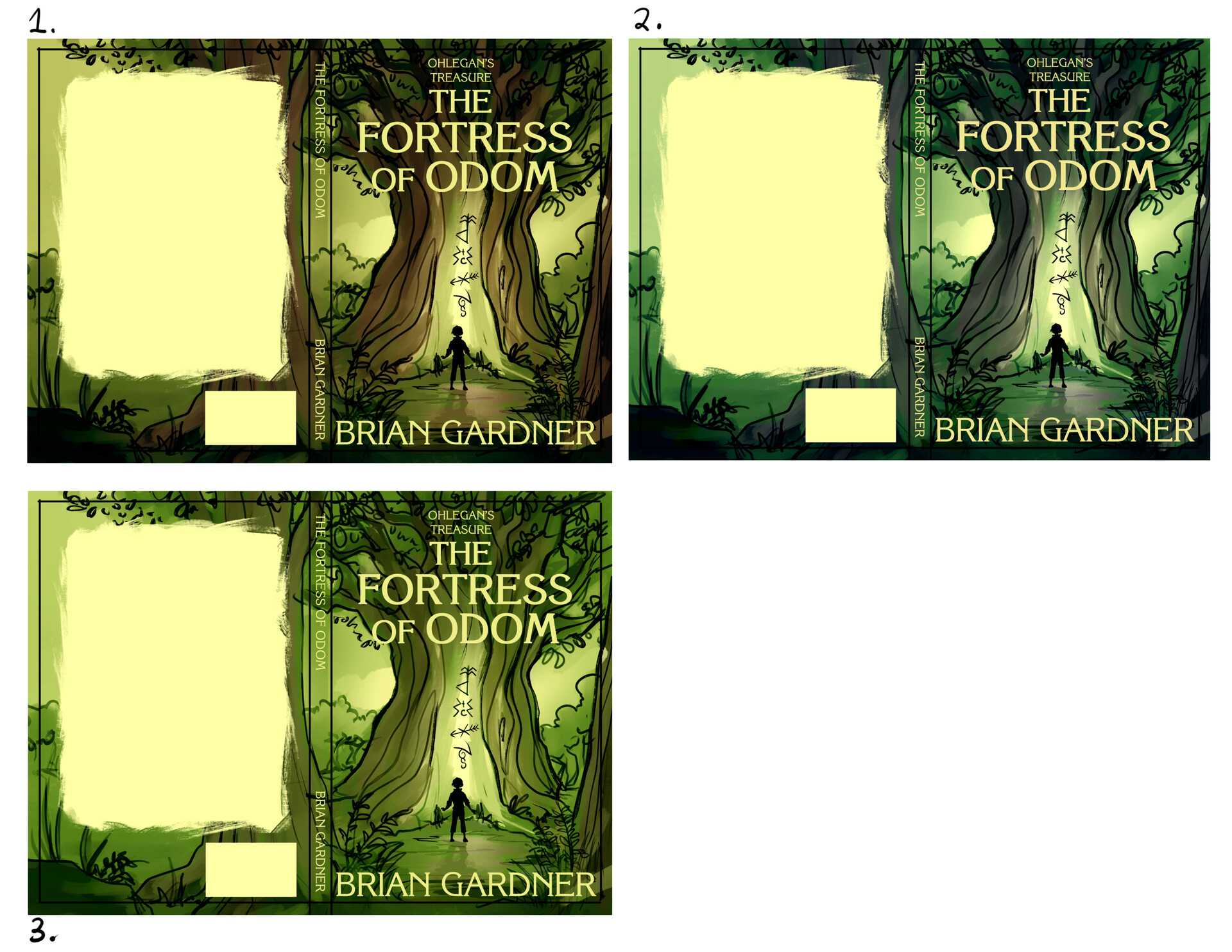 HeatherAnne Lee's Portfolio - Fortress of Odom: Book Cover