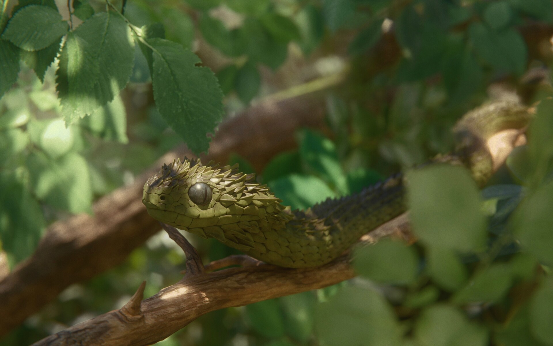 ArtStation - bush viper