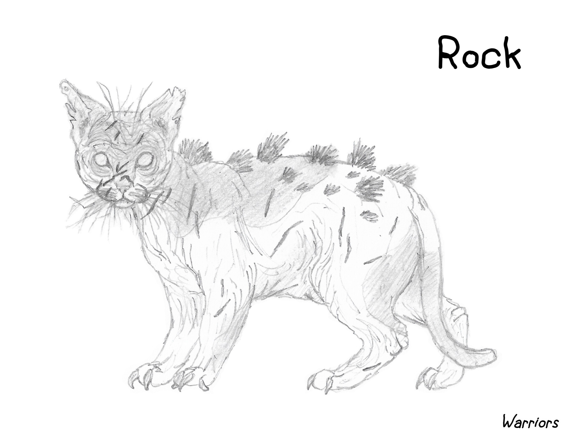 warrior cats coloring pages starclan images