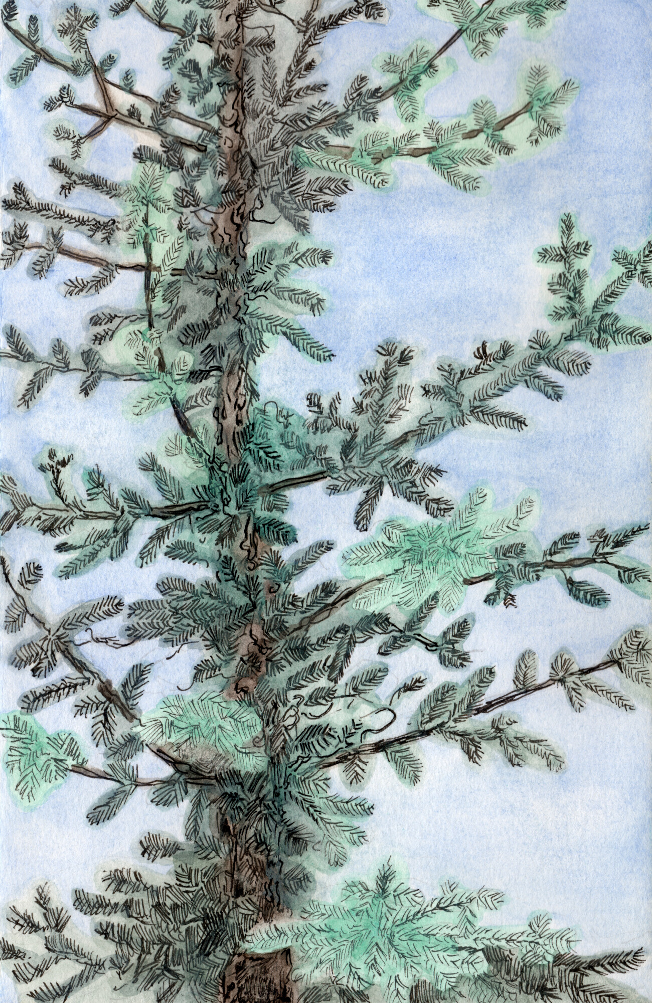 Scott Dickey - 2022 Traditional Works