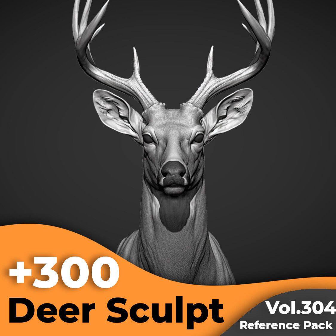 ArtStation - +300 Deer Sculpt Reference Images(4k)