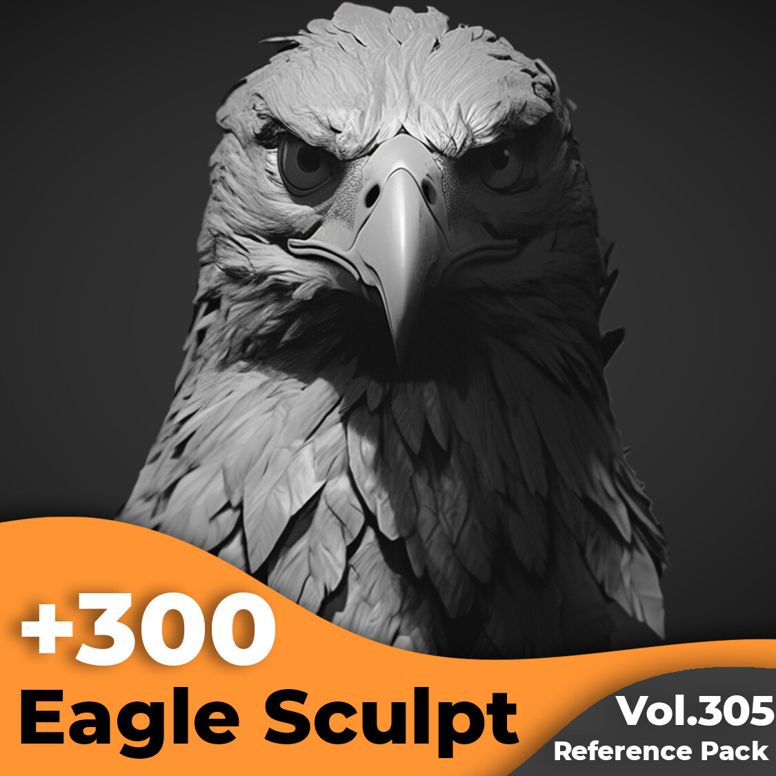 ArtStation - +300 Eagle Sculpt Reference Images(4k)