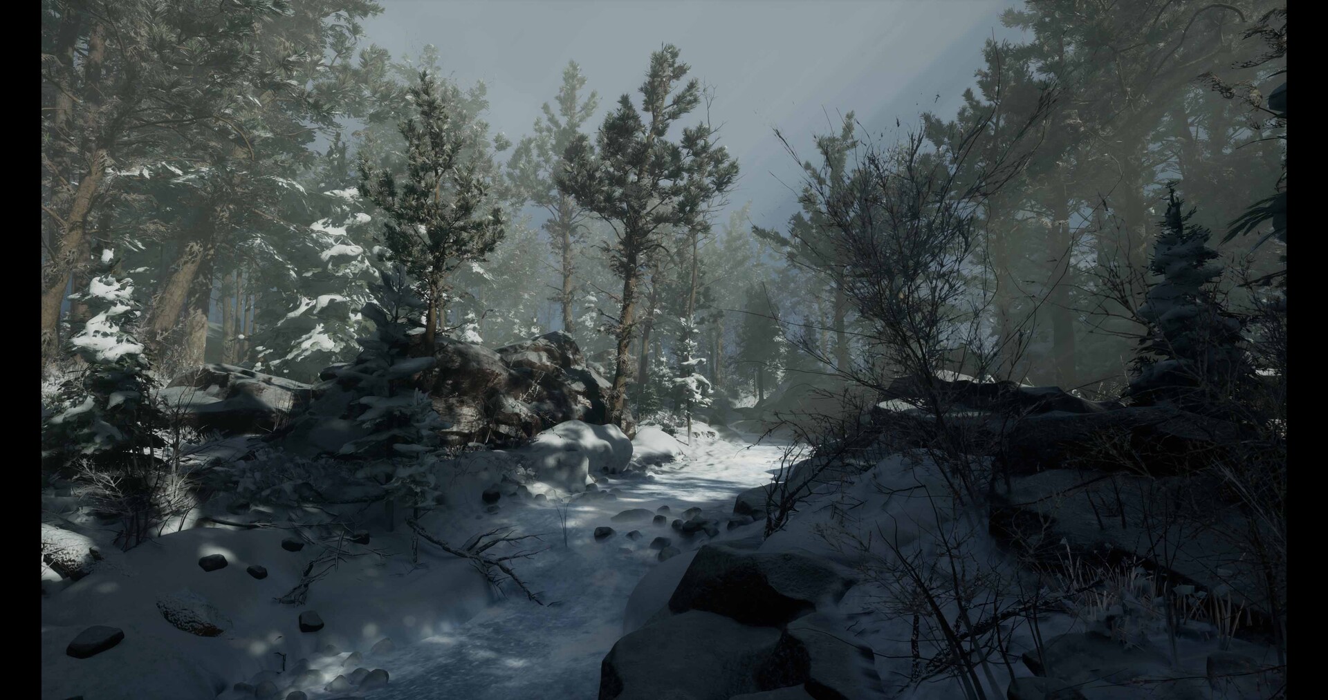 ArtStation - Taiga Biome