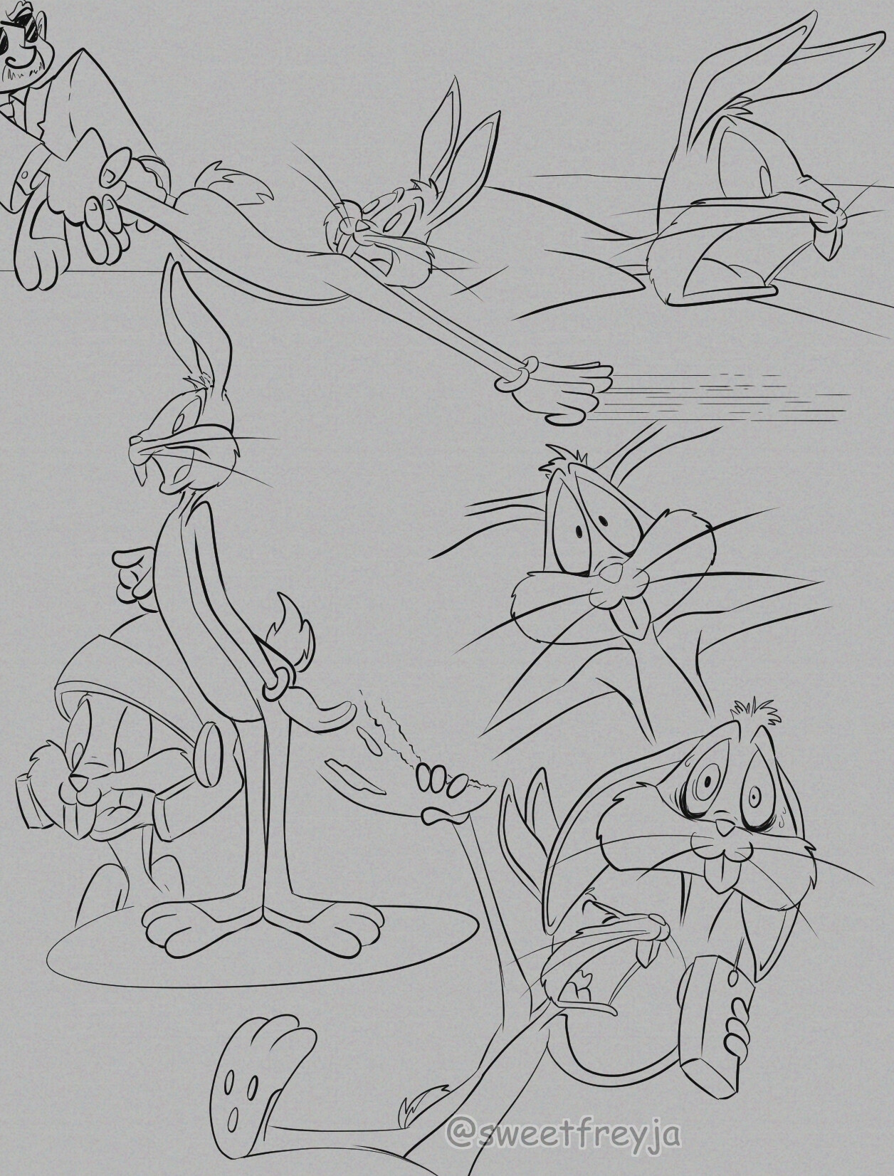 Giulia Pecchenino - Bugs Bunny-Study