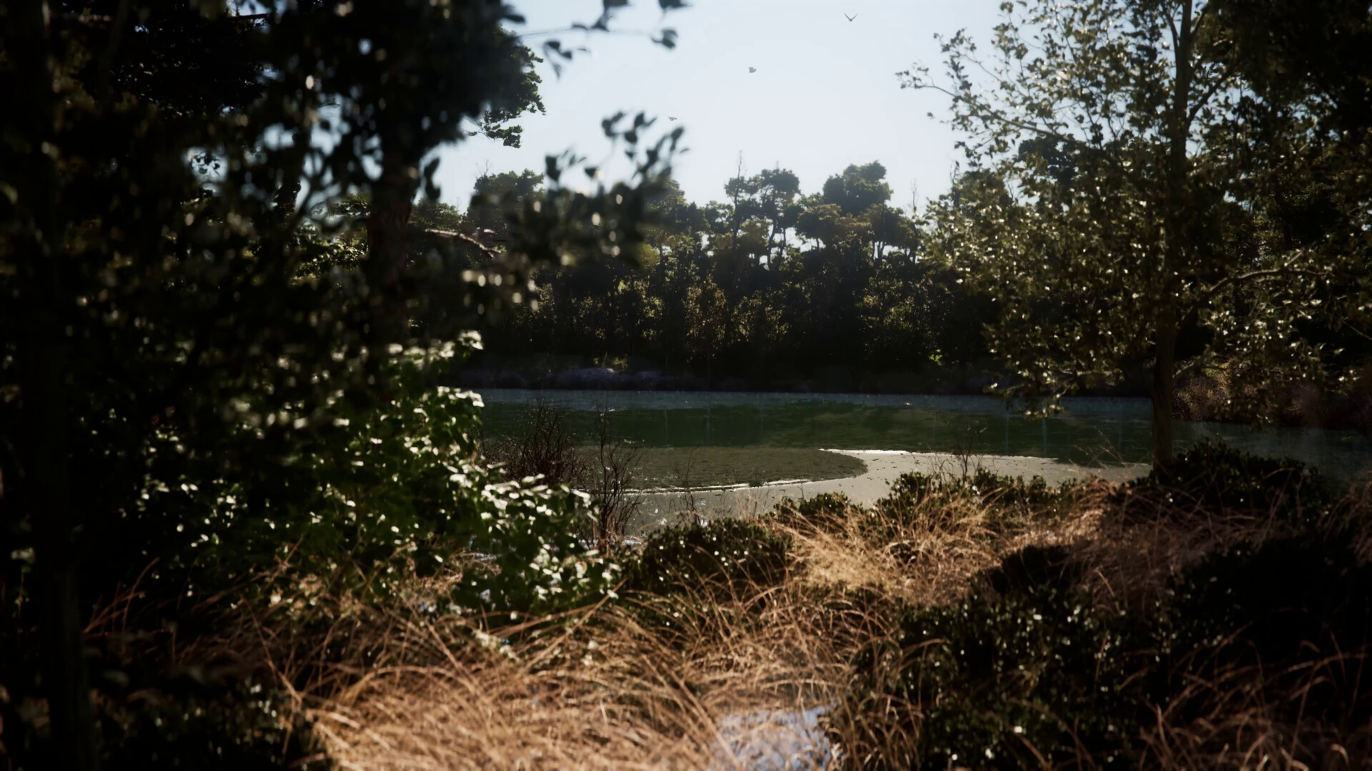 Melhem Sfeir - Realistic Forest UE5