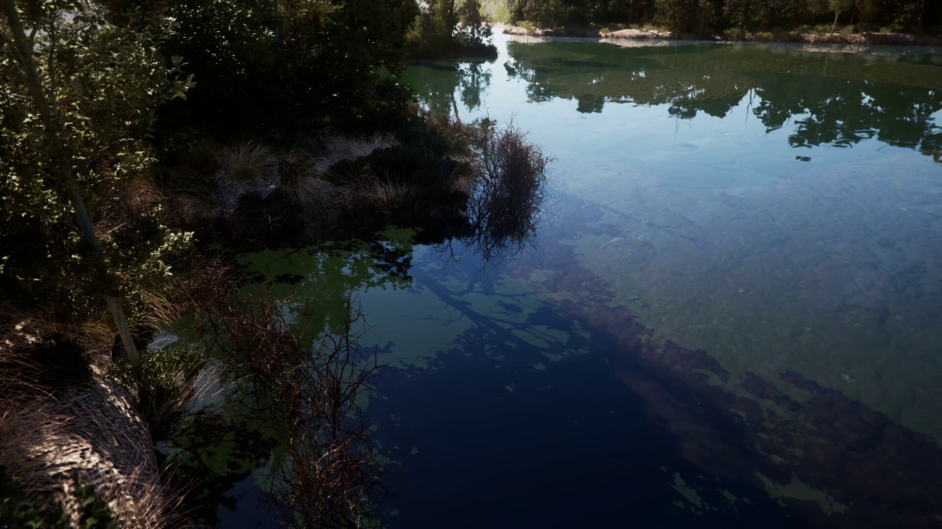 Melhem Sfeir - Realistic Forest UE5