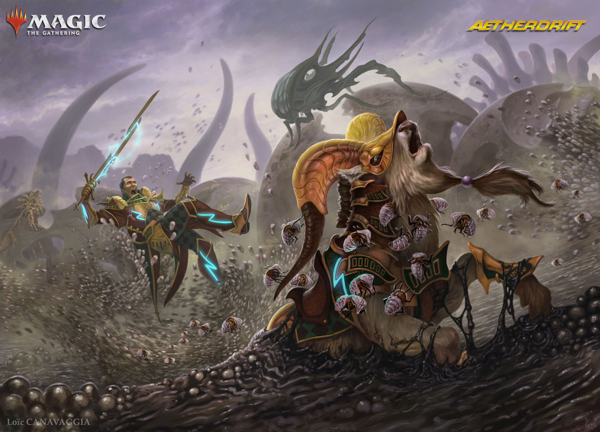 Loïc CANAVAGGIA - Quag feast