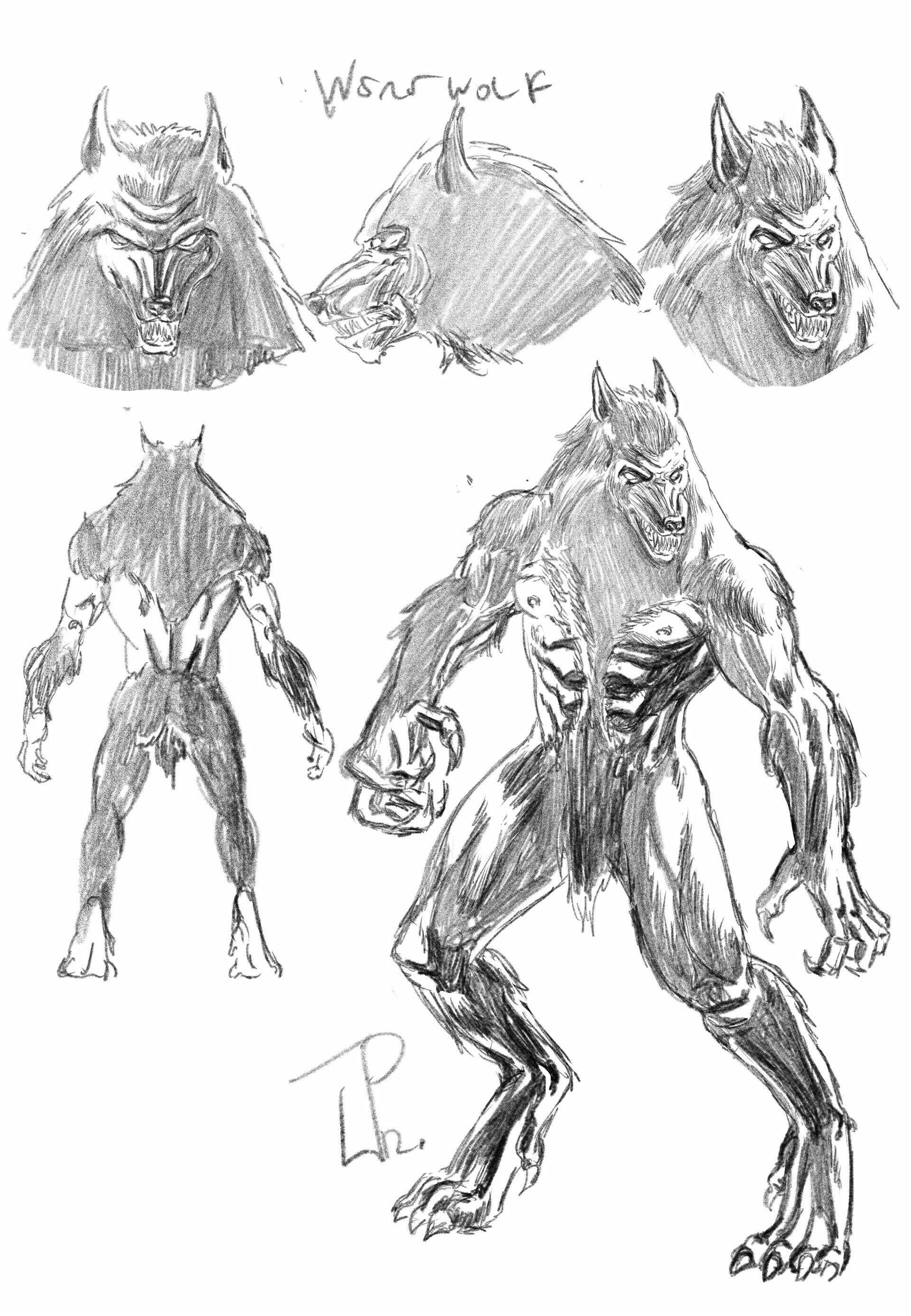 ArtStation - Werewolf