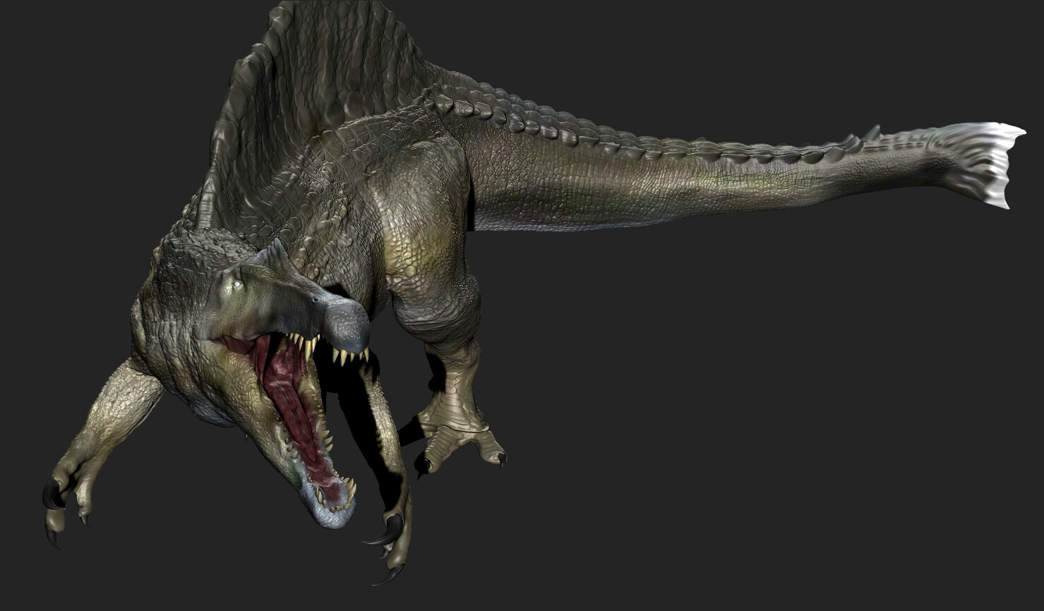 nguma monene description