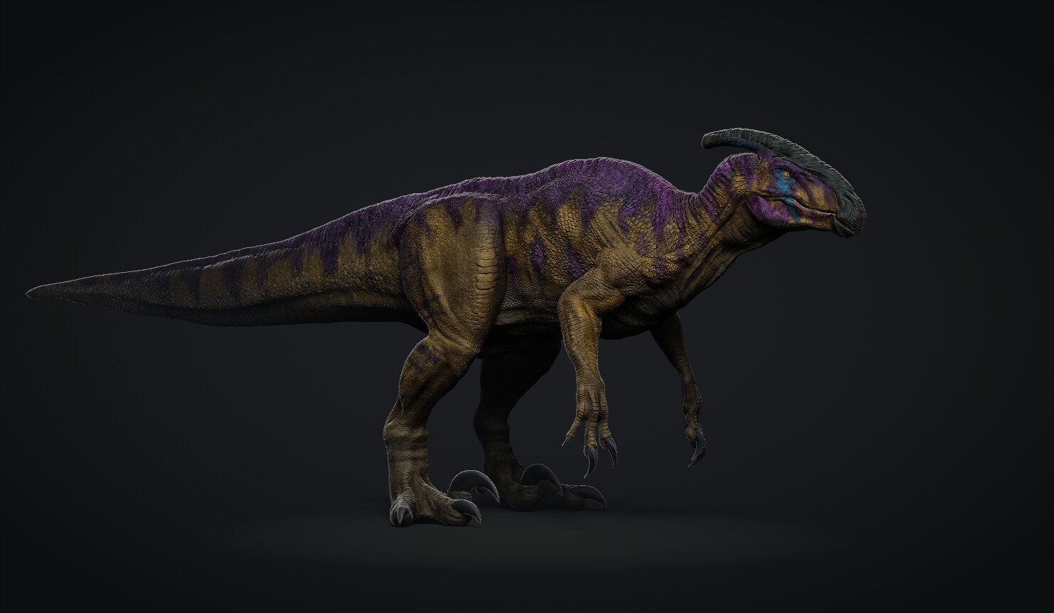 Kevin Vanwijmelbeke W.rex - Paradeinonychus