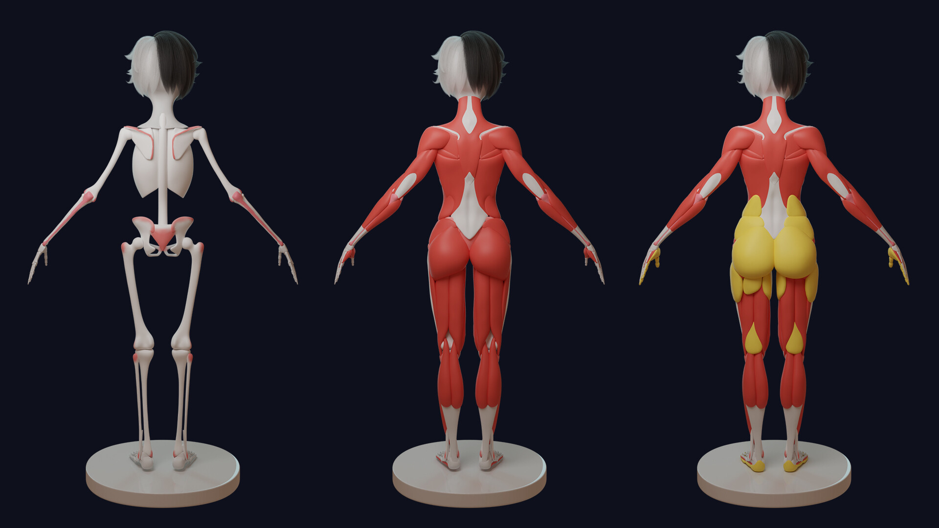 Danny Mac 3D Portfolio - Stylized Écorché Study (2024)