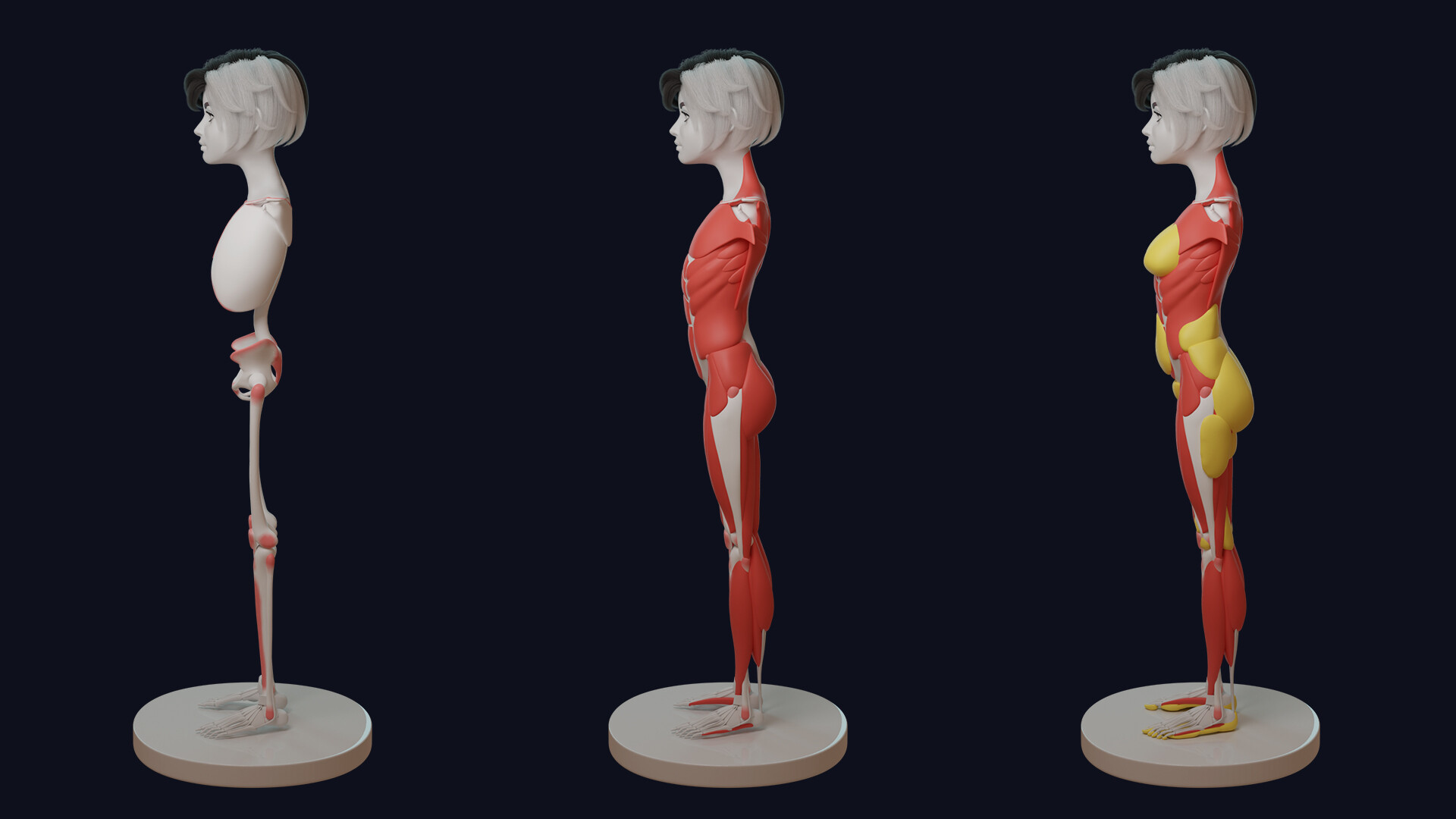 Danny Mac 3D Portfolio - Stylized Écorché Study (2024)