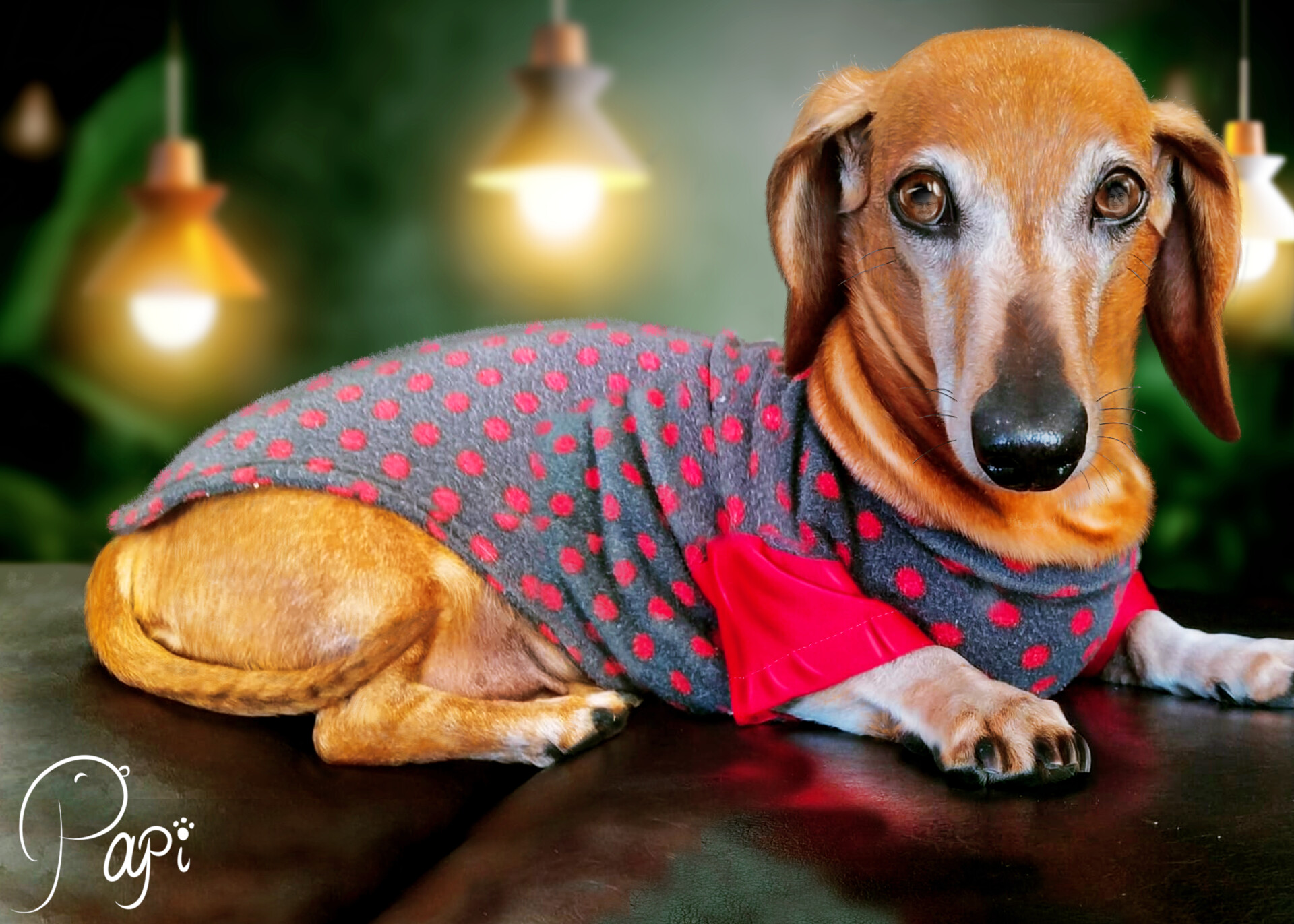 ArtStation - Papi Square