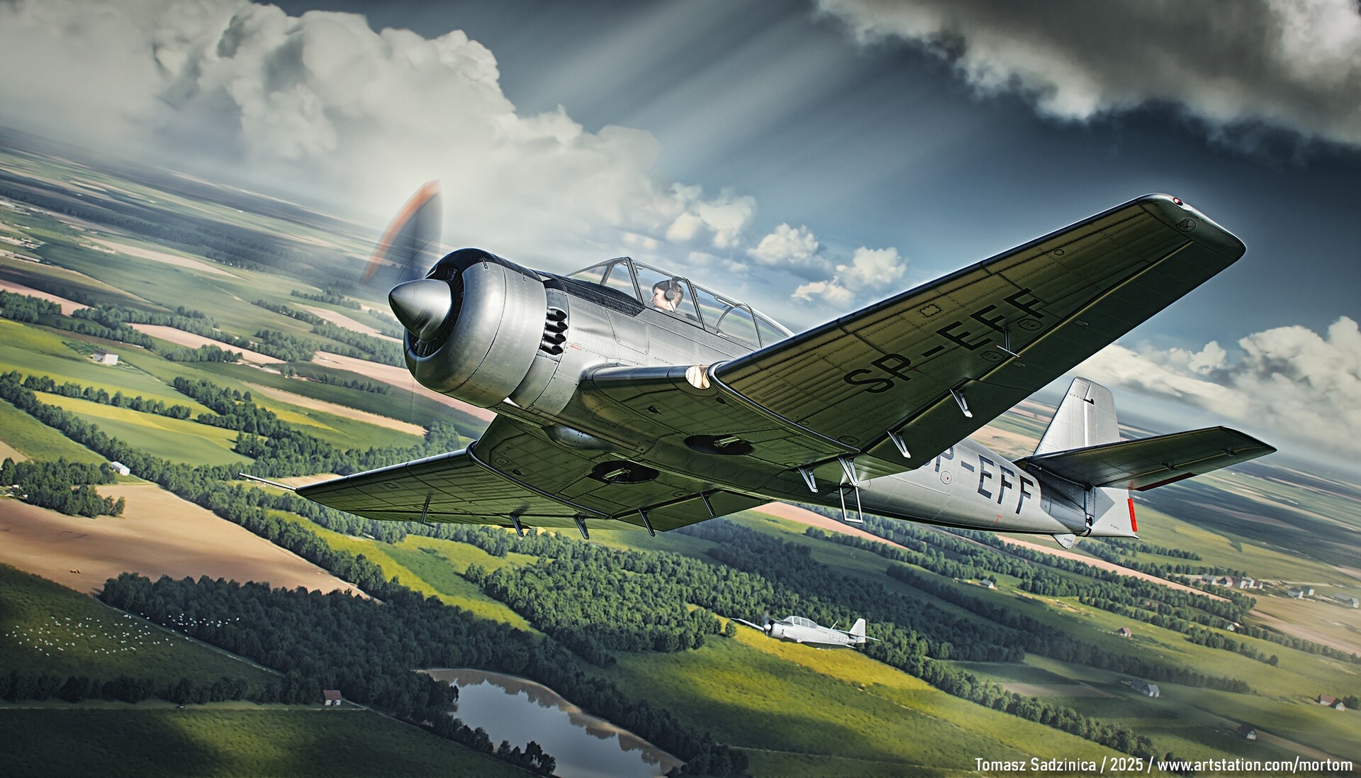 Tomasz Sadzinica - PZL TS-8 "Bies"