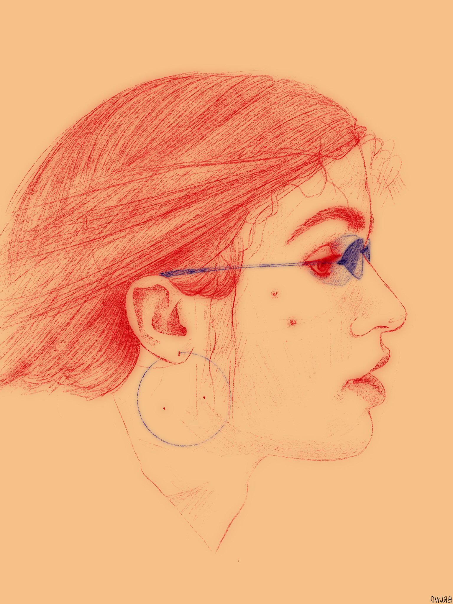 Bruno - Detailed portraits