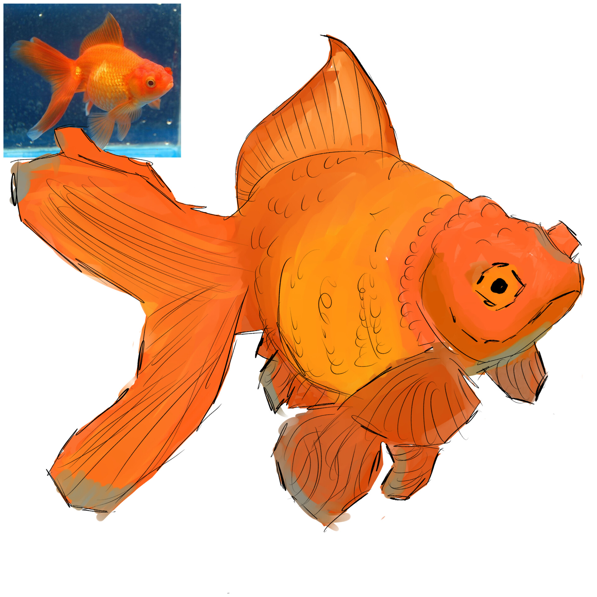 ArtStation - Fish Study 2