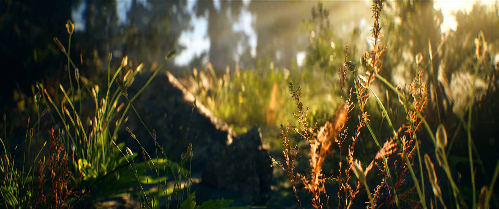 ArtStation - PCG - Landscapes Unreal Engine