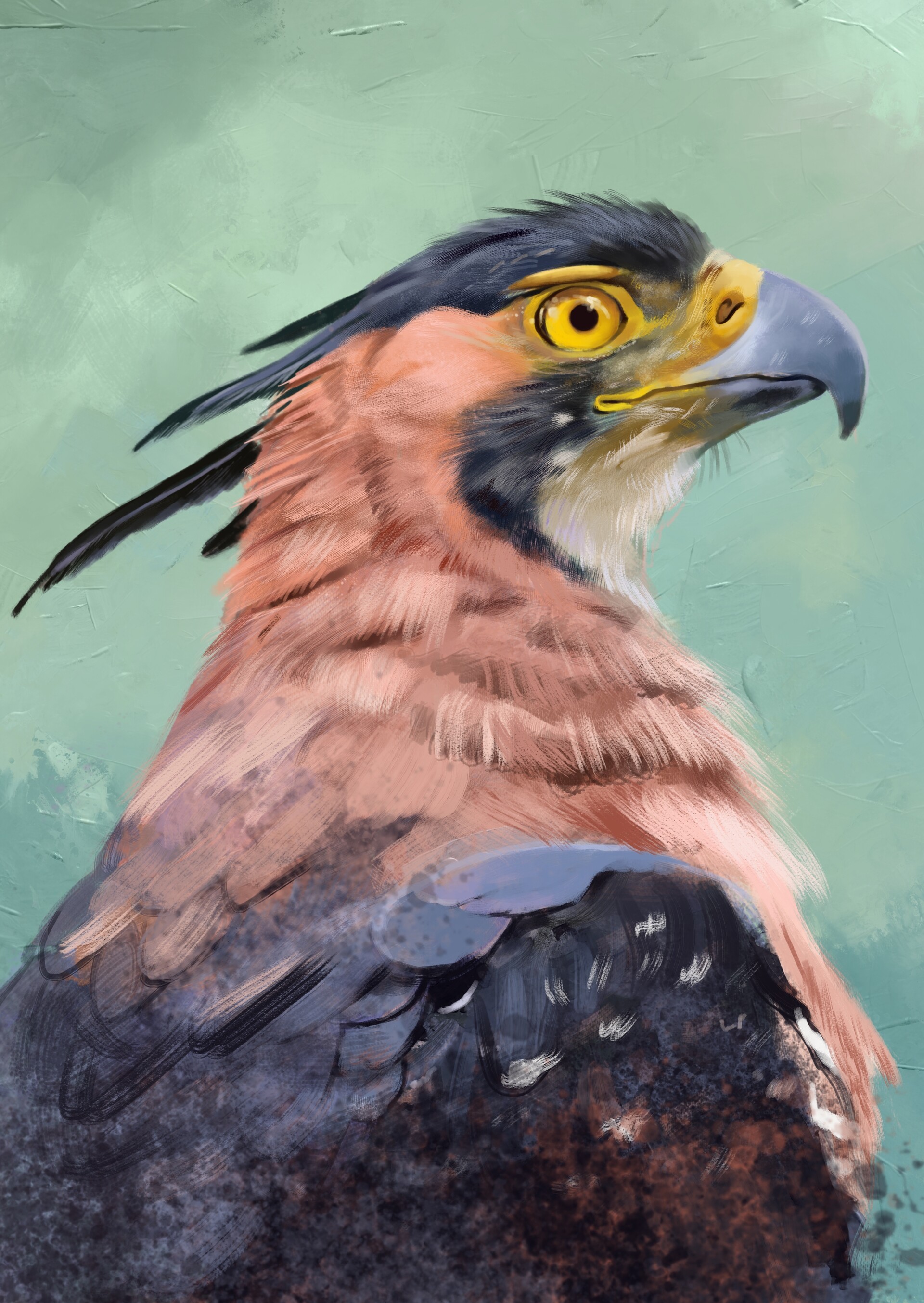 ArtStation - Eagle (Krita)