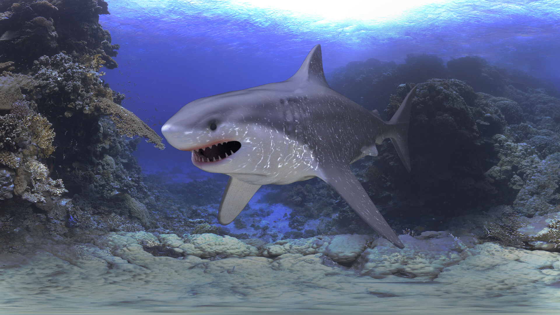 ArtStation - Shark Render in Houdini