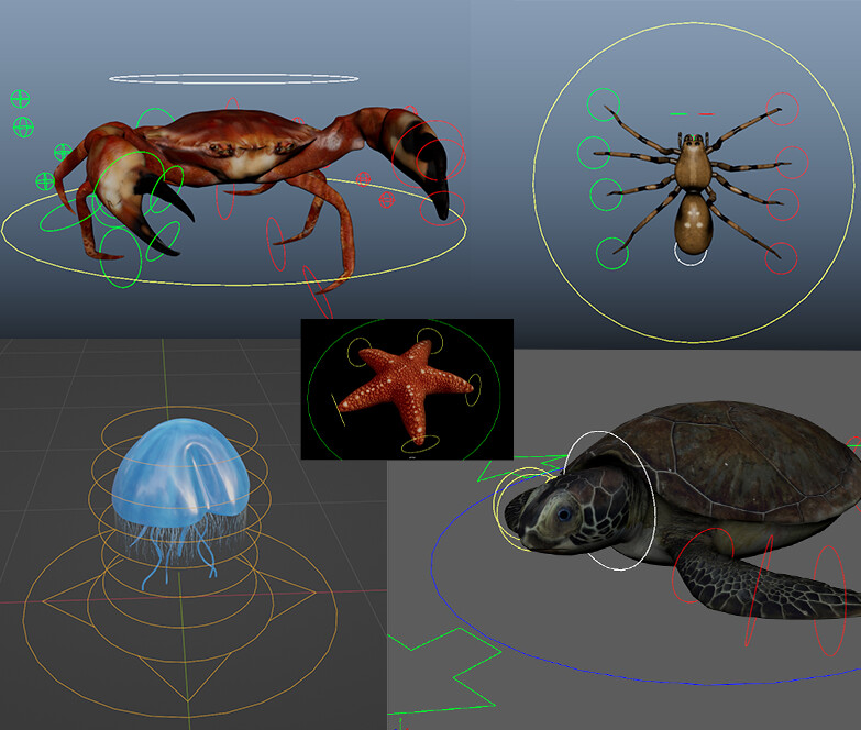 ArtStation - Animals Rig, Skinning and Animation 3D Work - Maya and Blender