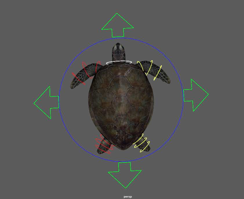 Aniruddh Singh - Animals Rig, Skinning and Animation 3D Work - Maya and ...