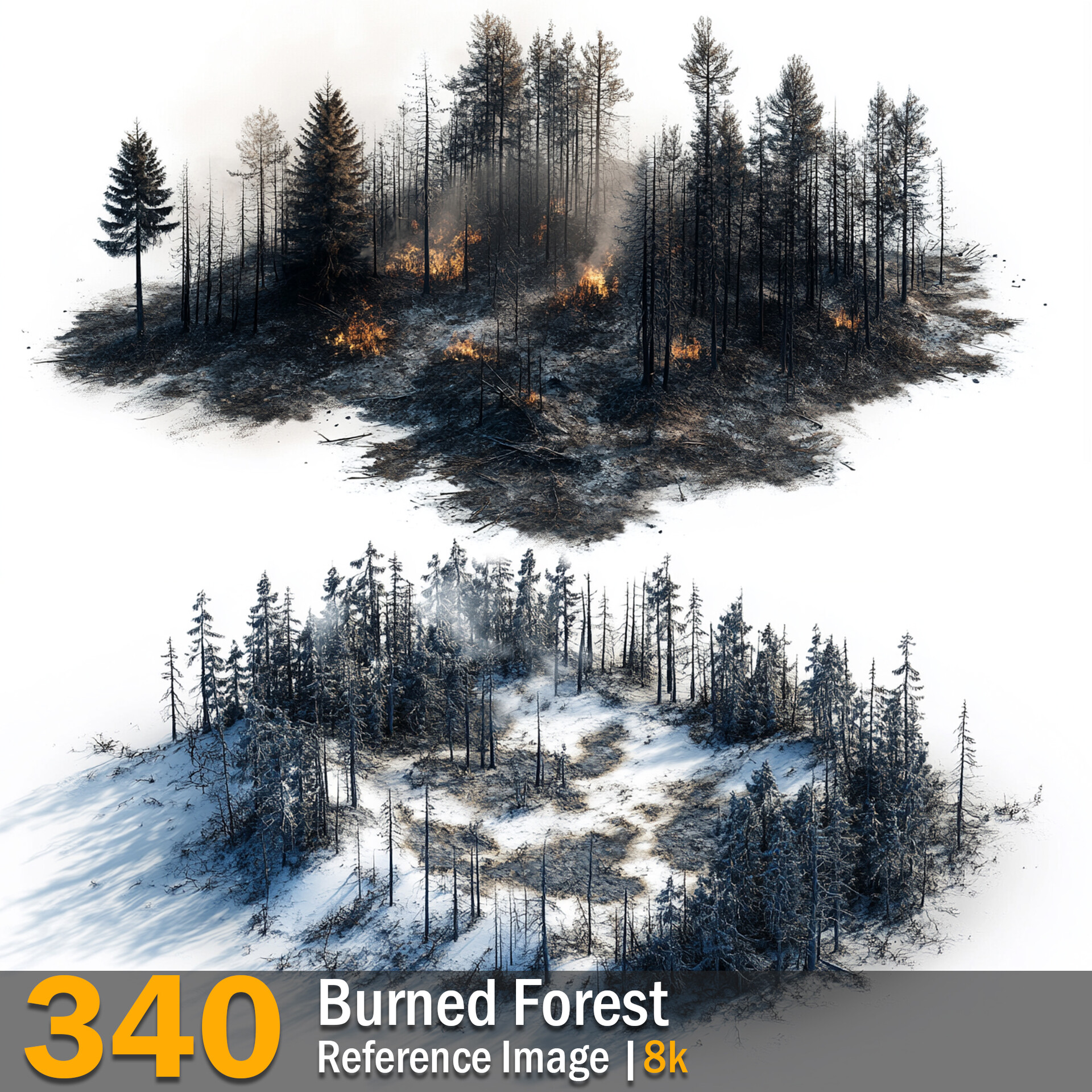 ArtStation - Burned Forest | Reference Images | 8K