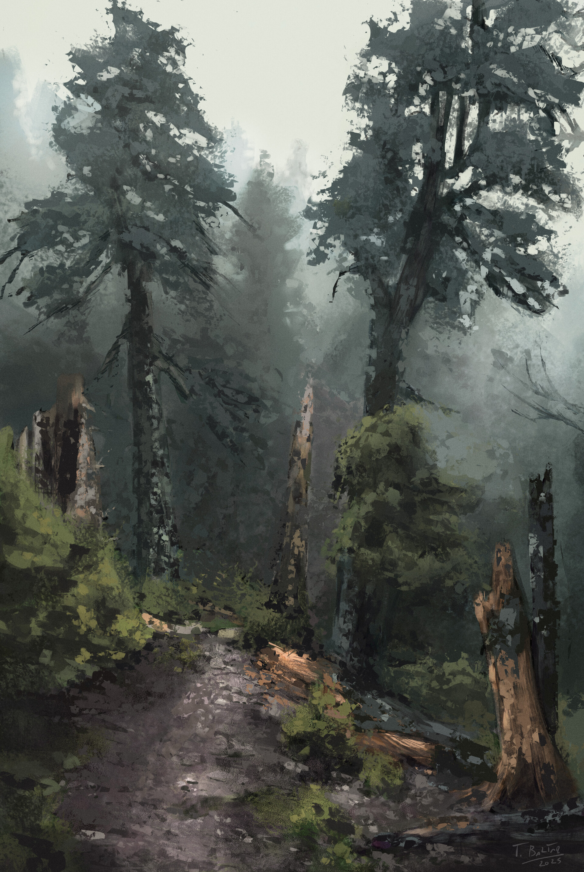ArtStation - Mist Forest