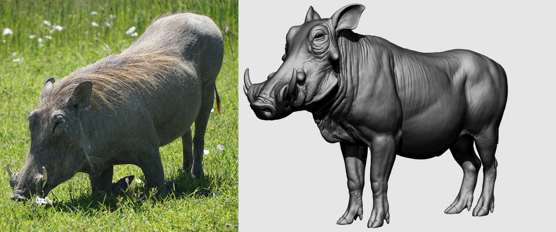 ArtStation - Warthog