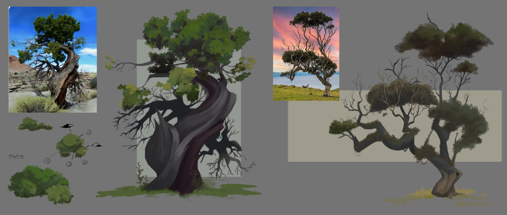ArtStation - Tree Study