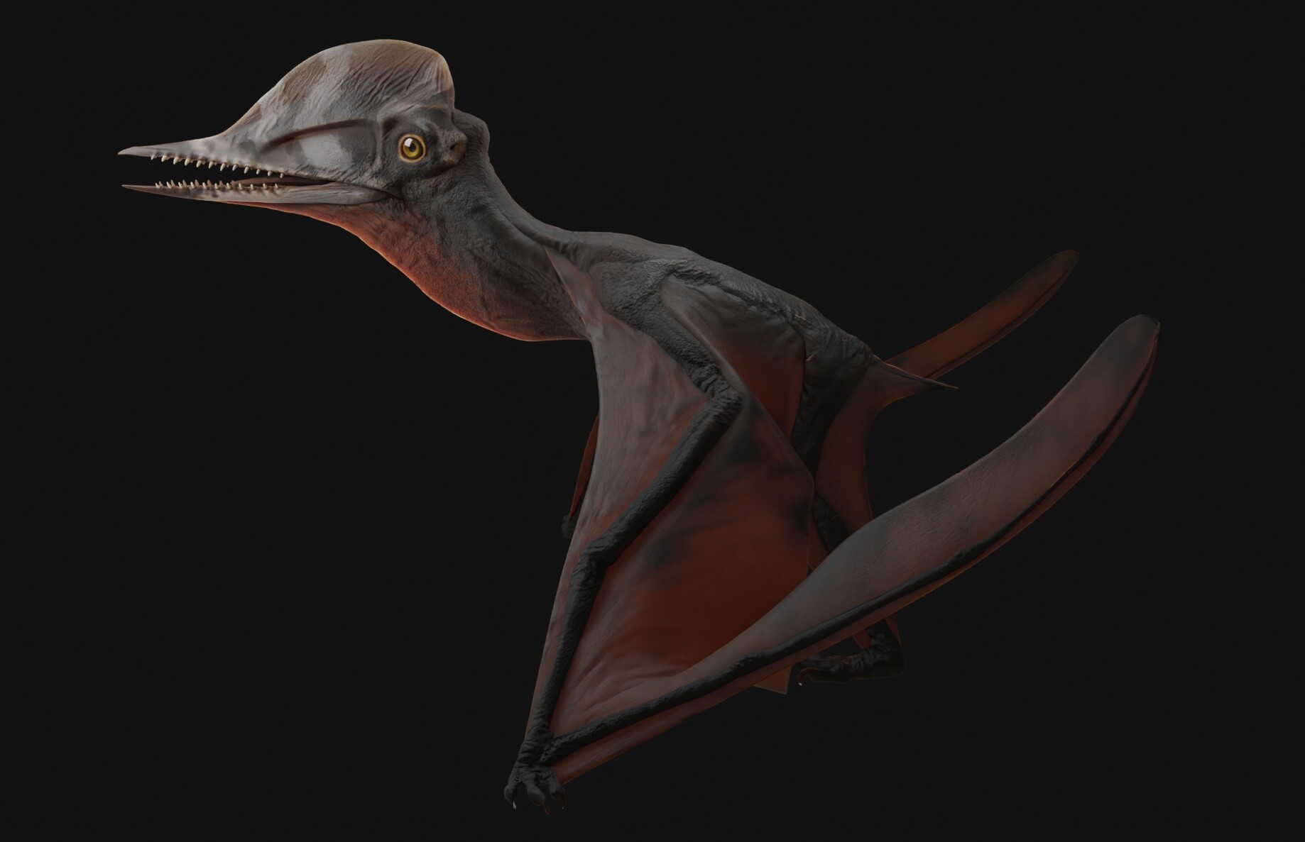 ArtStation - Germanodactylus -base-