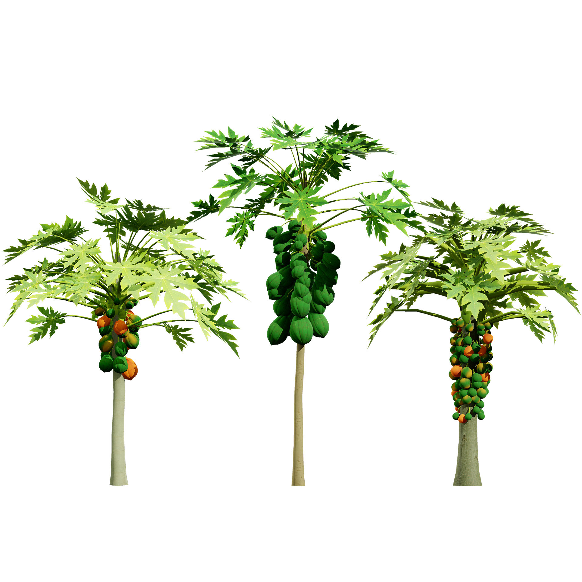 ArtStation - Papaya Tree 3D Model