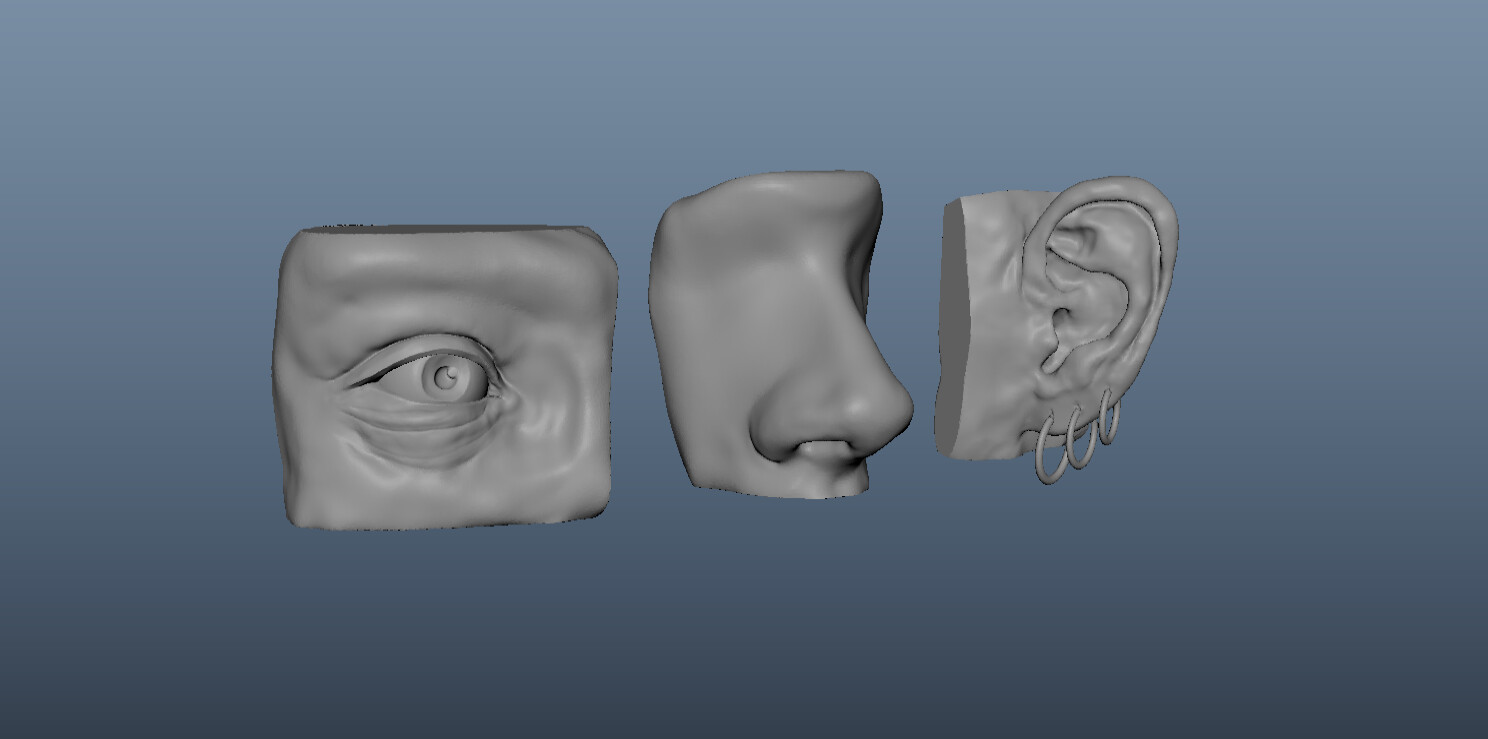 ArtStation - Facial Studies