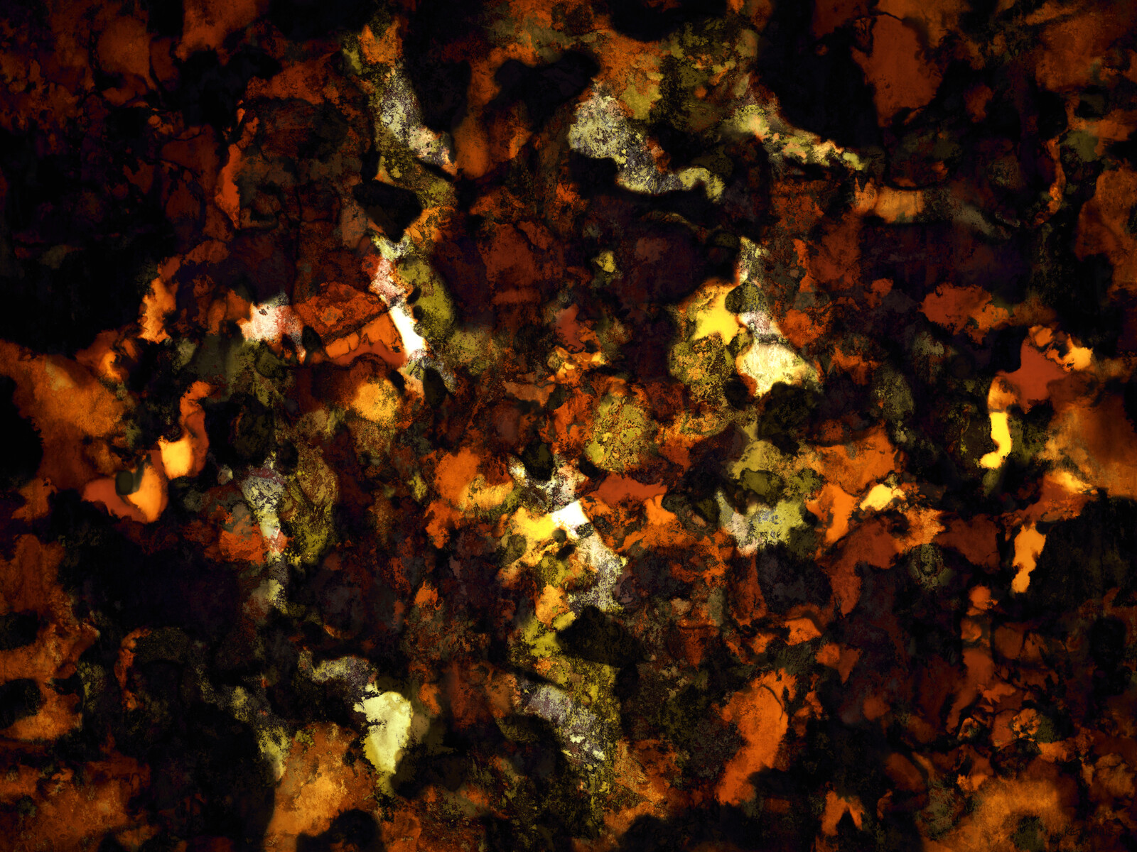 Keith Mills - Warm timber