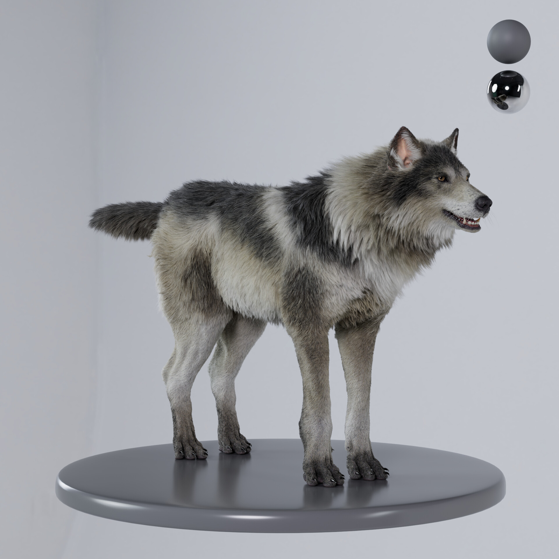 ArtStation - Wolf - Moonshot CGI