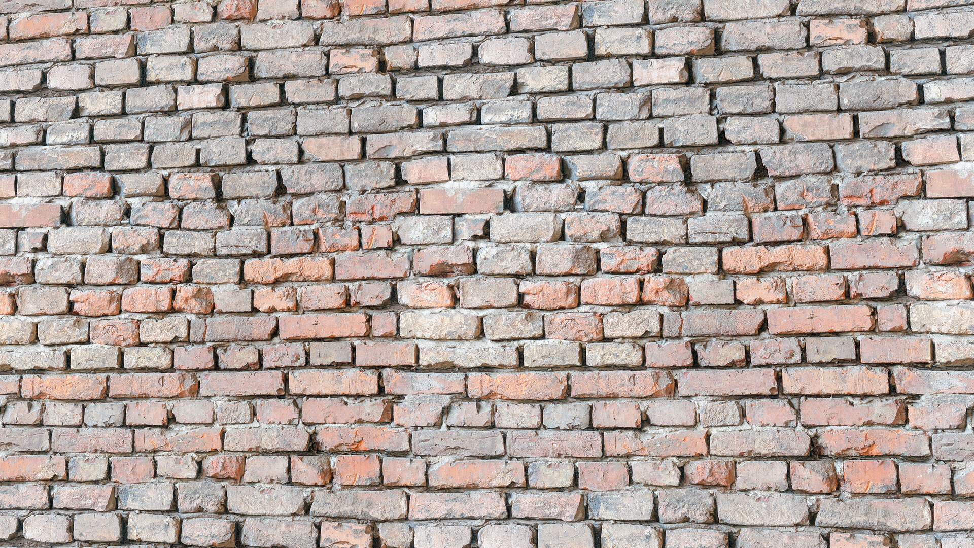 ArtStation - Photogrammetry Material Study