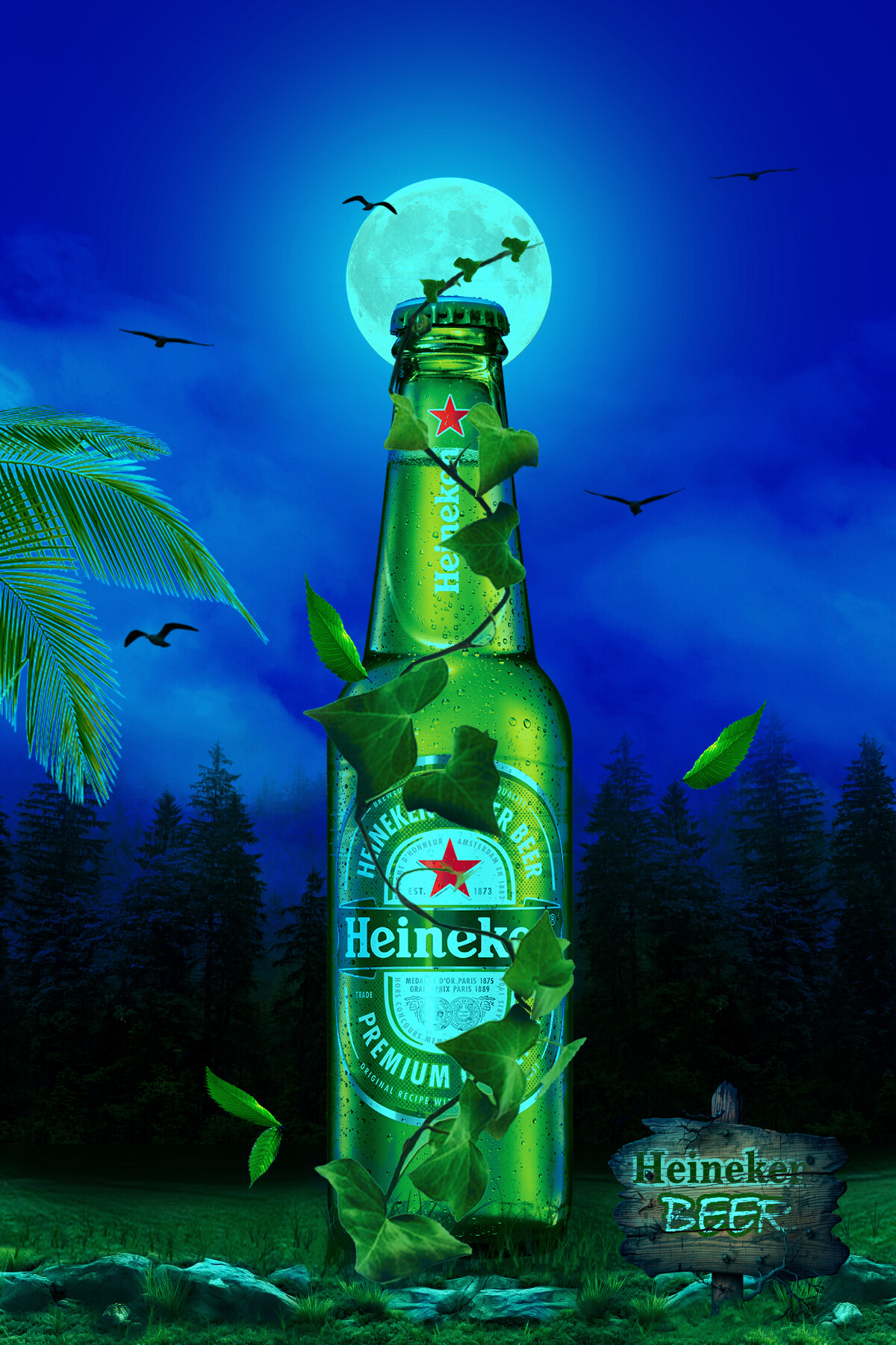 heineken posters