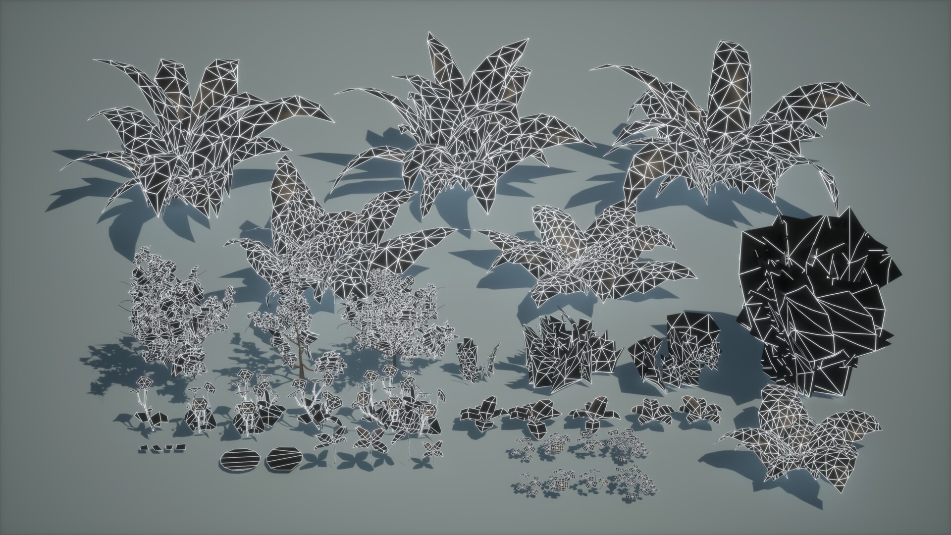 Nicholas Galan - Pondside Vegitation Vignette