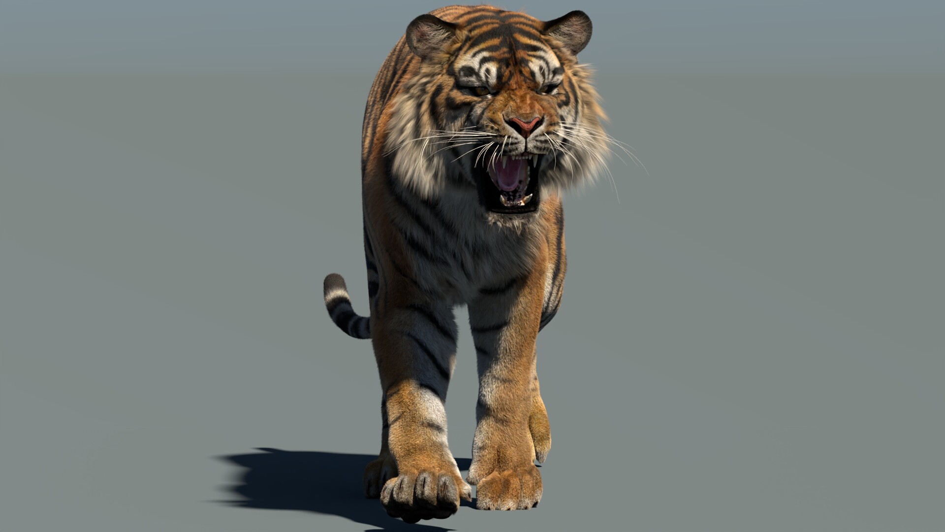 ArtStation - Animated Tiger 3D Model with Fur