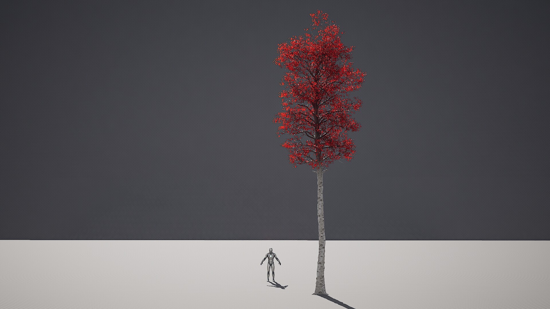 Austin Roberts - Thesis Forest Tree