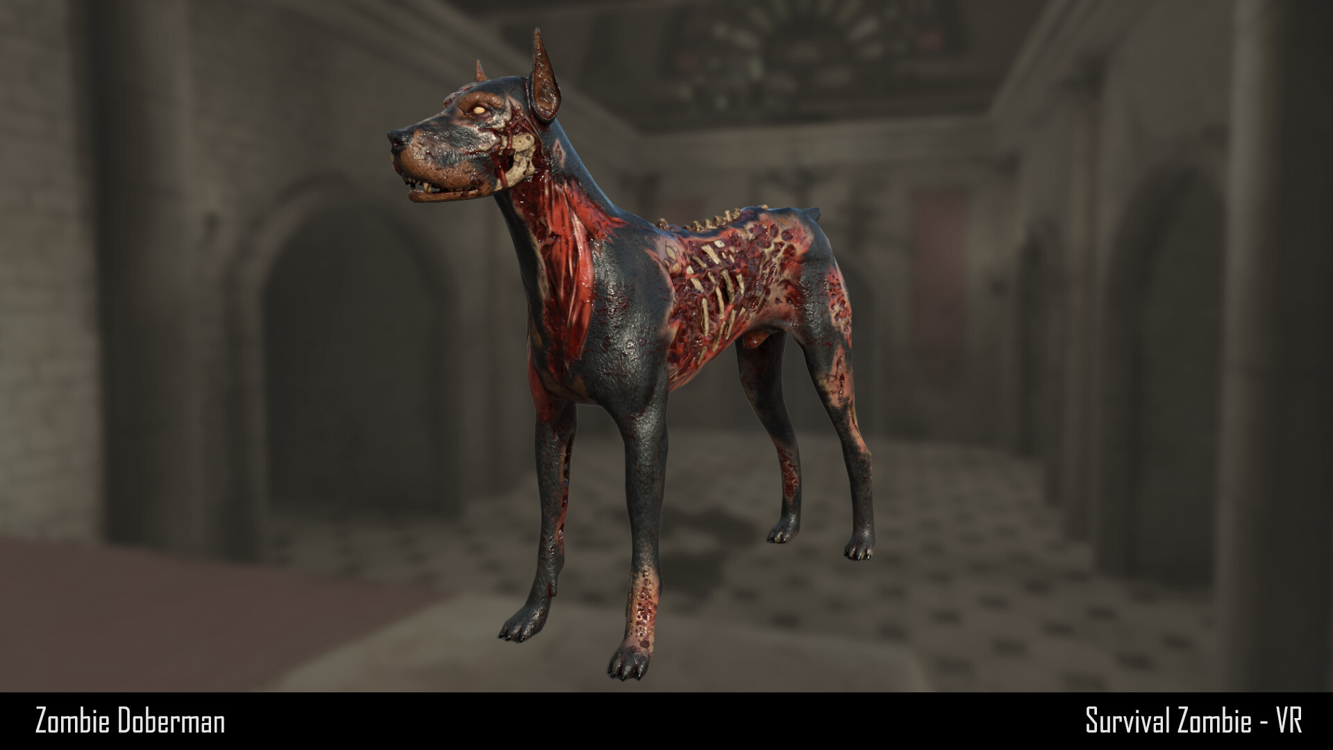 zombie doberman