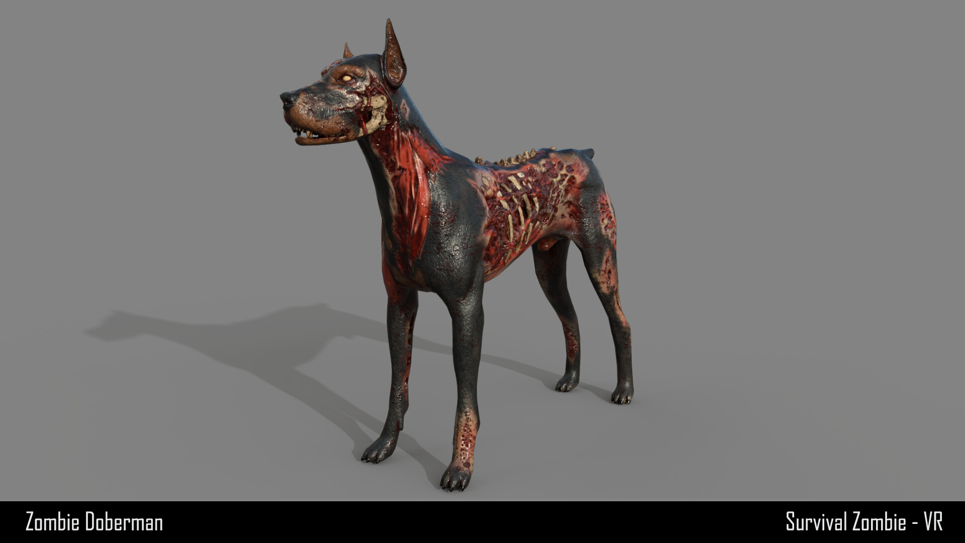 doberman zombie