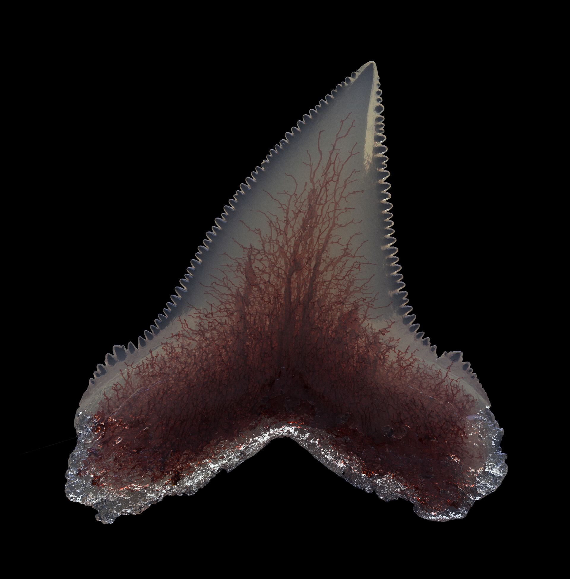 ArtStation - Shark Tooth